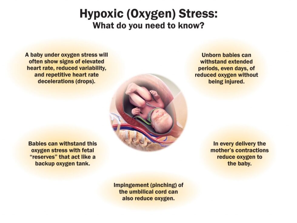 Tyrone Law | Persistence. Trust. Hope.